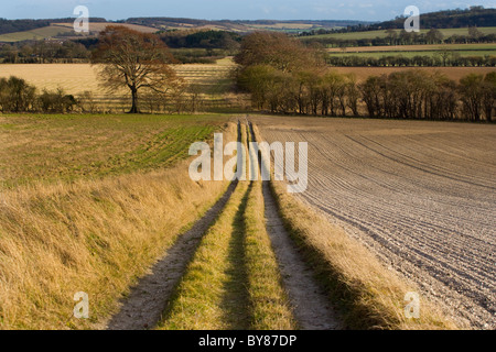 Upper Gade Valley in the Chilterns From Ivinghoe Hills Beds, Herts ...