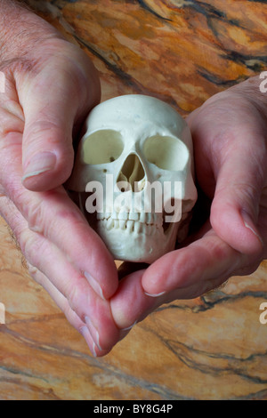 Anatomical artificial model of head in cometology clinic. Maquette of ...