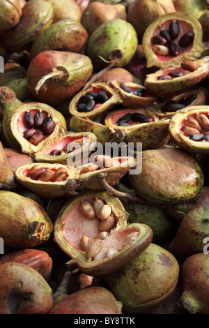 Badam nuts in Bangladesh Asia Stock Photo - Alamy