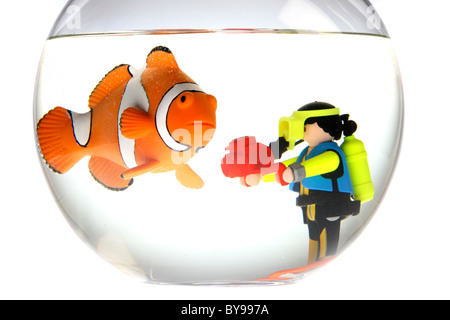 Clown fish, Nemo, in a fish bowl Stock Photo - Alamy