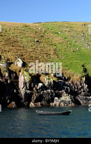 Currach Curach type of Irish boat wooden frame animal skins hides ...