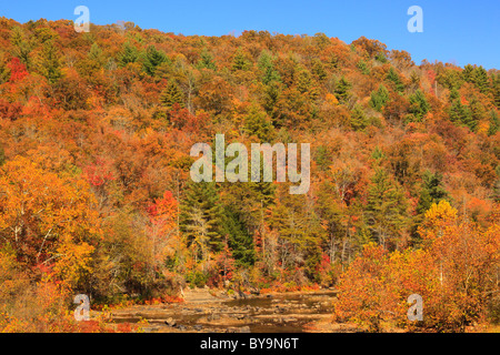 Obed Wild and Scenic River, Nemo Bridge, Wartburg, Tennessee, USA Stock ...