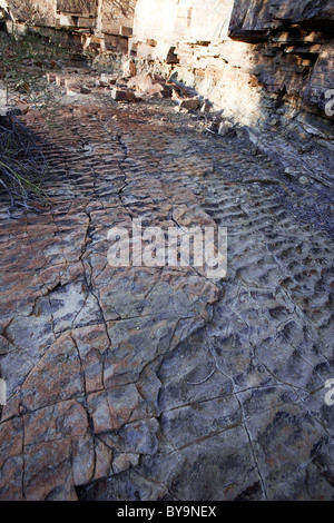 Ancient seabed, Tucson Mountains, Tucson, Arizona Stock Photo - Alamy