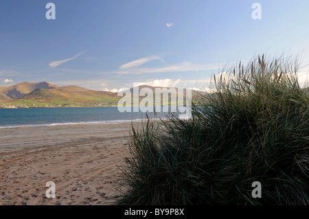 Ireland Kerry Dingle Ballyferriter beach across Murreagh to Brandon ...