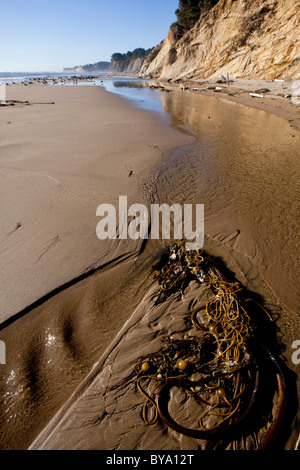Anchor Bay, Mendocino County, California, USA Stock Photo - Alamy