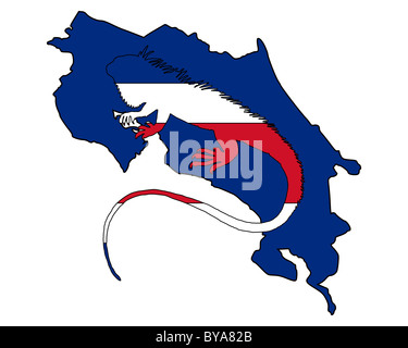 Iguana Costa Rica Stock Photo - Alamy