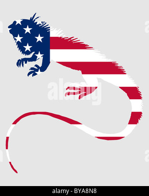 usa america iguana flag north america states united sign signal blue ...
