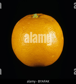 C. S. Hamlin Stock Photo - Alamy