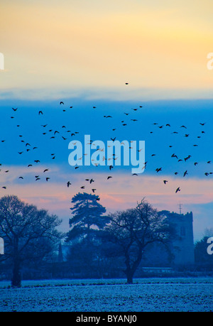 Church at Ellingham Norfolk Stock Photo - Alamy
