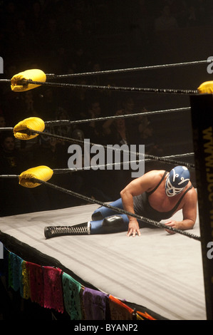 Luchador (Mexican wrestler) during an exhibition of Lucha Libre in ...