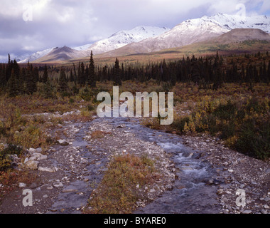 Fall Colors, Rock Creek, Denali National Park, Alaska Stock Photo - Alamy