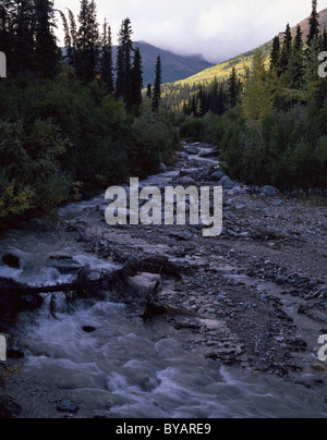 Fall Colors, Rock Creek, Denali National Park, Alaska Stock Photo - Alamy