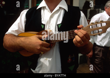 Musical instrument - a Canary Islands timple, a type of five-string ...