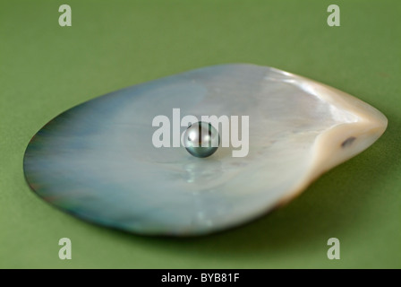 Oyster shell with pearls on black table, closeup Stock Photo - Alamy