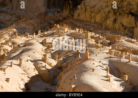 Canyons and eroded sandstone and limestone formations dominate the ...