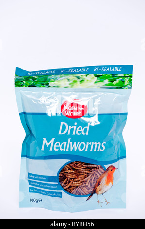 Closeup shot of a great tit on the dried tree Stock Photo - Alamy