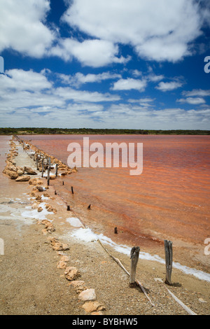 Pink Algae in Halite Lake Stock Photo - Alamy