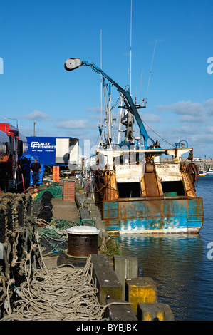 Whitby fishing trawler nets unloading england uk Stock Photo - Alamy