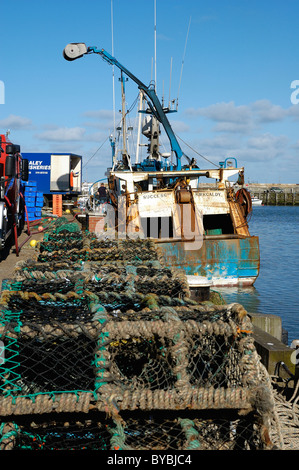Whitby fishing trawler nets unloading england uk Stock Photo - Alamy