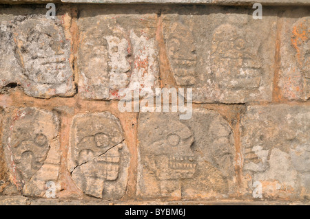 Mayan stone tablets with inscriptions on them at Coba Yucatan Mexico ...