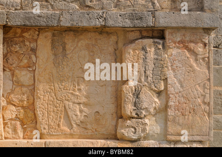 Mayan stone tablets with inscriptions on them at Coba Yucatan Mexico ...