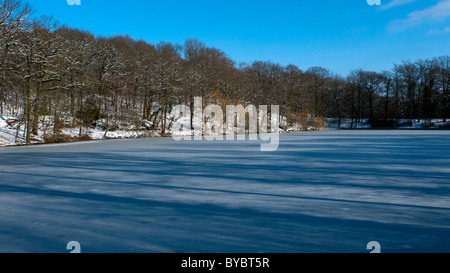 Meudon Forest Hauts-de-Seine France Stock Photo - Alamy