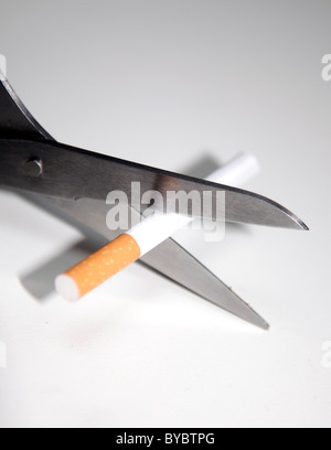 cutting cigarettes out Stock Photo - Alamy