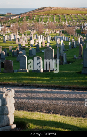 Crowded and huge Trinity cemetery, Aberdeen Stock Photo - Alamy