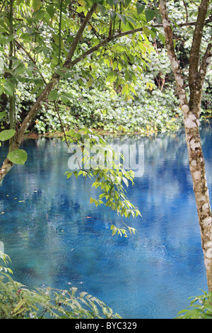 Vanuatu Blue Pool Stock Photo - Alamy