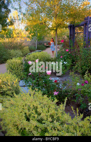 Botanical gardens at the Springs Preserve Las Vegas Nevada USA Stock ...