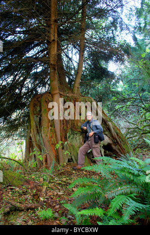Dead trees and new growth one year after the Pack Creek wildfire near ...