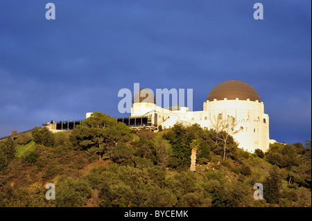 The silhouette of Griffith Observatory and the night lights of downtown ...