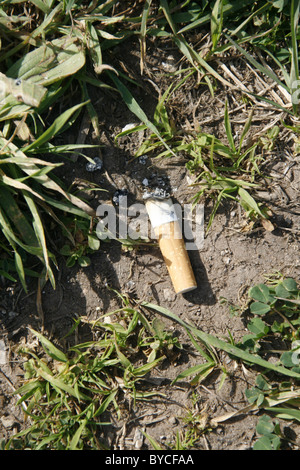 cigarette stub in the floor Stock Photo - Alamy