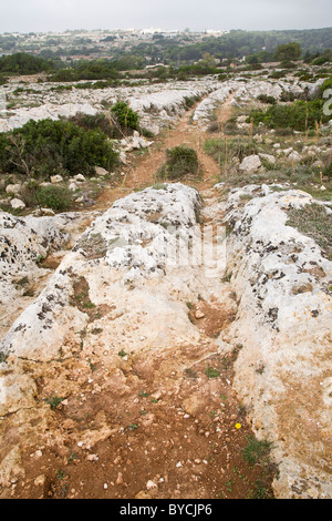 Misrah Ghar il-Kbir, Clapham Junction, prehistoric cart ruts tracks ...