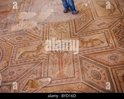 Tayyibat Al-Imam Mosaic Floor, Syria. A Syrian sprays water on the ...
