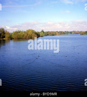 Alton water reservoir Suffolk England Stock Photo - Alamy