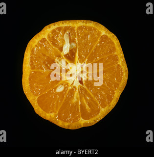 Cut section of a citrus fruit mandarin variety Fremont Stock Photo - Alamy