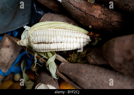 Choclo, or Peruvian large kernel corn, as seen at Lima's annual ...