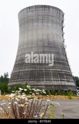 Nuclear cooling tower at Satsop Development Park in Grays Harbor County ...