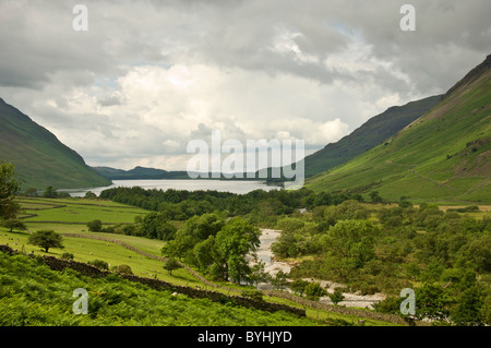 Wast Water seen from ascent of Scafell Pike with tree in foreground ...