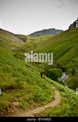 The ascent to Scafell Stock Photo - Alamy