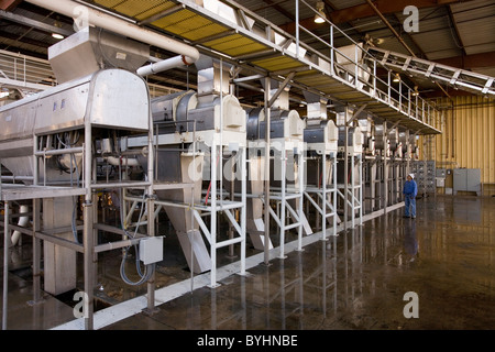 Agriculture - Nut dryers at a pistachio processing facility / near ...