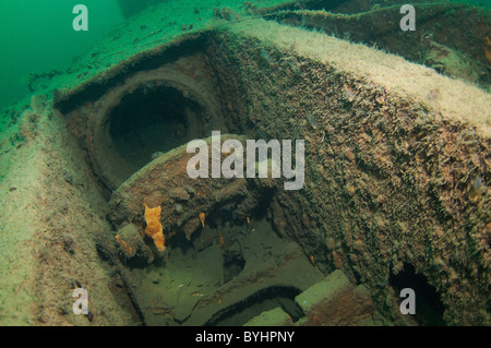 The Soviet submarine Shch-212 (Shchuka class submarines - "Shchuka" is ...