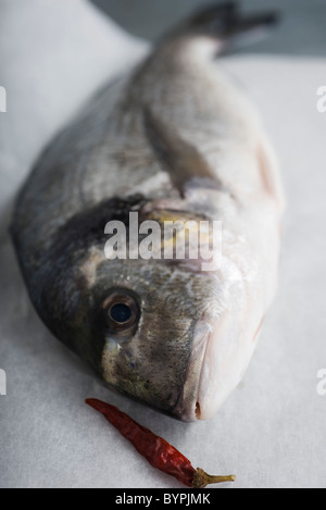 'Still Life with two sea breams', by Luis Melendez Stock Photo - Alamy