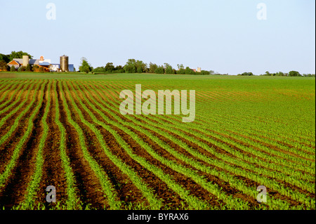 Malta Agriculture - rolling field Stock Photo - Alamy