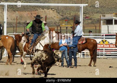 Salmon Select Horse Sale, Roping, Team Roping, Tie-Down Roping, Calf ...