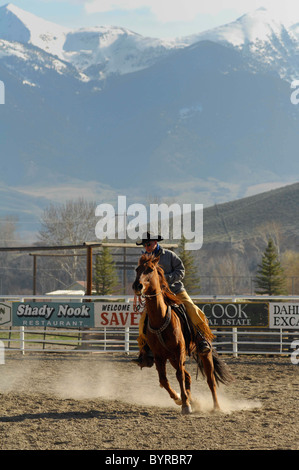 Salmon Select Horse Sale, Roping, Team Roping, Tie-Down Roping, Calf ...