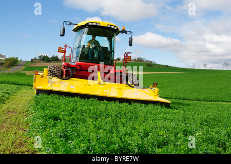 Agriculture - A self propelled New Holland Discmower silage harvester ...