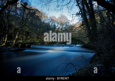 River Camel, Dunmere, Bodmin, Cornwall Stock Photo - Alamy
