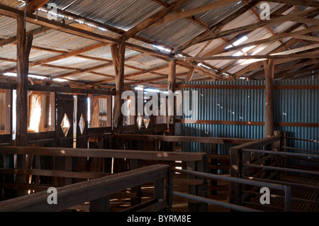 Interior historic woolshed, Australia Stock Photo - Alamy